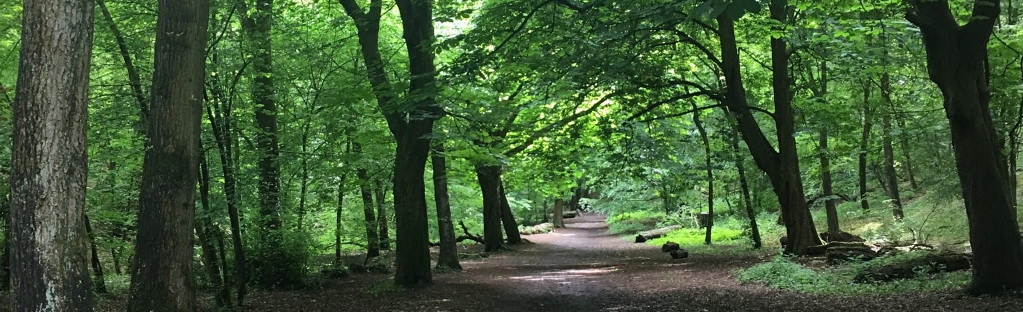 Borsdane Woods, Greater Manchester, England - 111 Reviews, Map | AllTrails