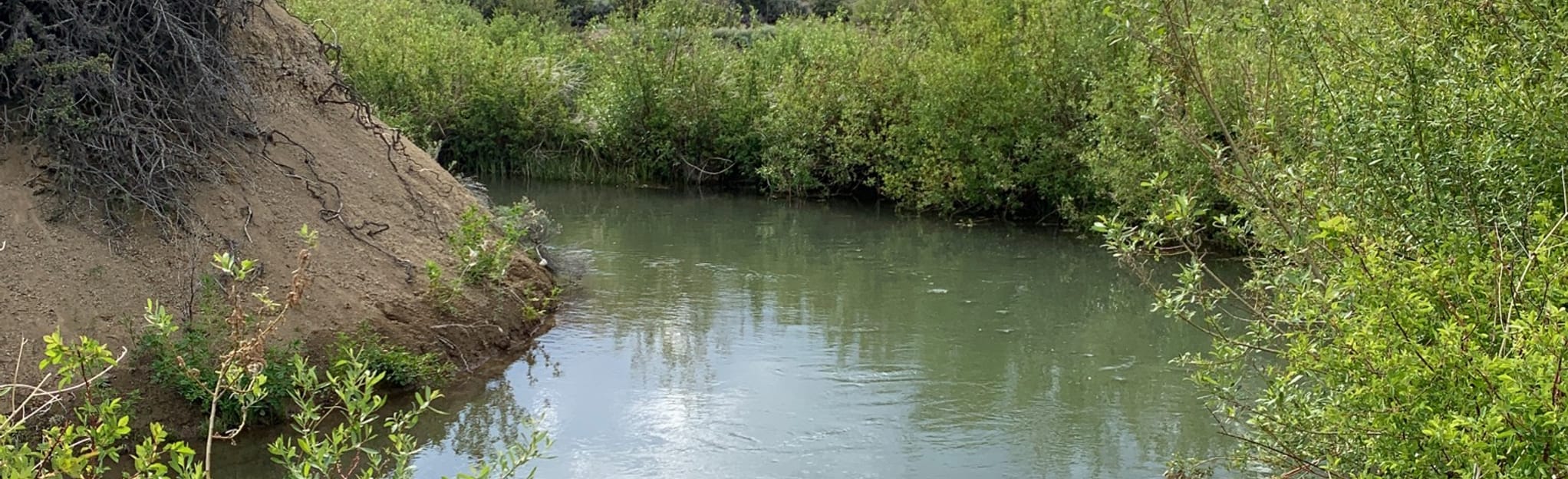 Tom Cooke and Steamboat Ditch Trail, Nevada - 575 Reviews, Map | AllTrails