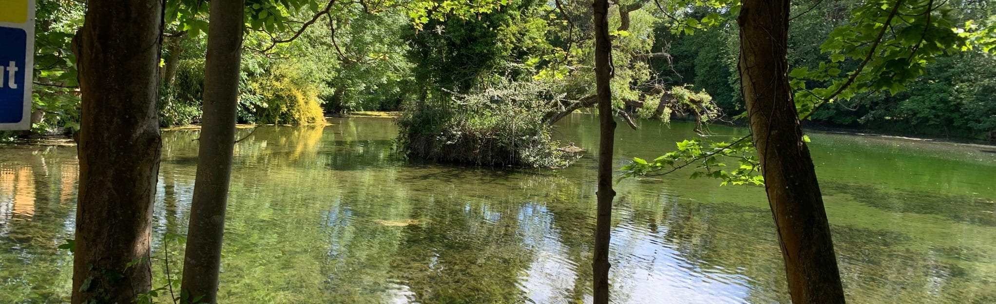 Wallingford and Watch Folly Circular: 29 Reviews, Map - Oxfordshire ...