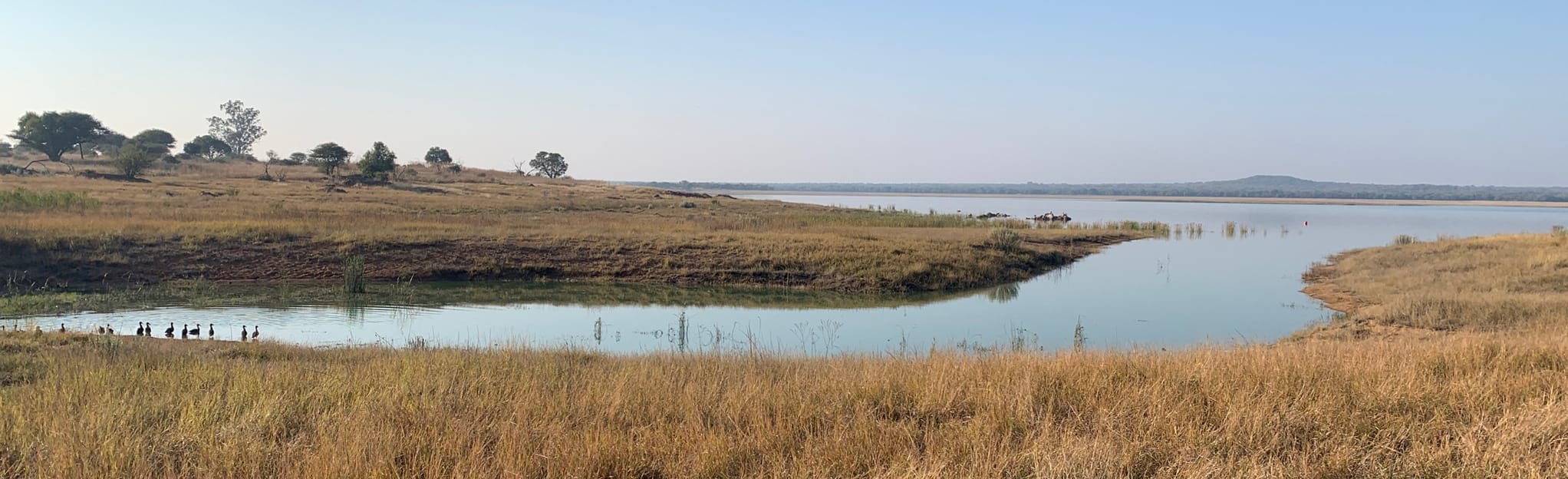 Elands River Loop: 1 Reviews, Map - North West, South Africa | AllTrails