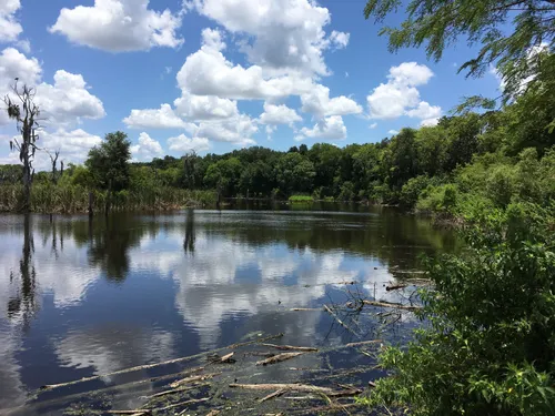 Best Hikes and Trails in Tenoroc Public Use Area | AllTrails