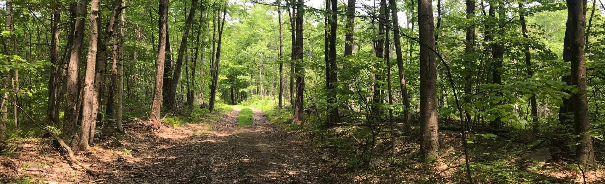 MA NET: Section 12, Massachusetts - 58 Reviews, Map | AllTrails