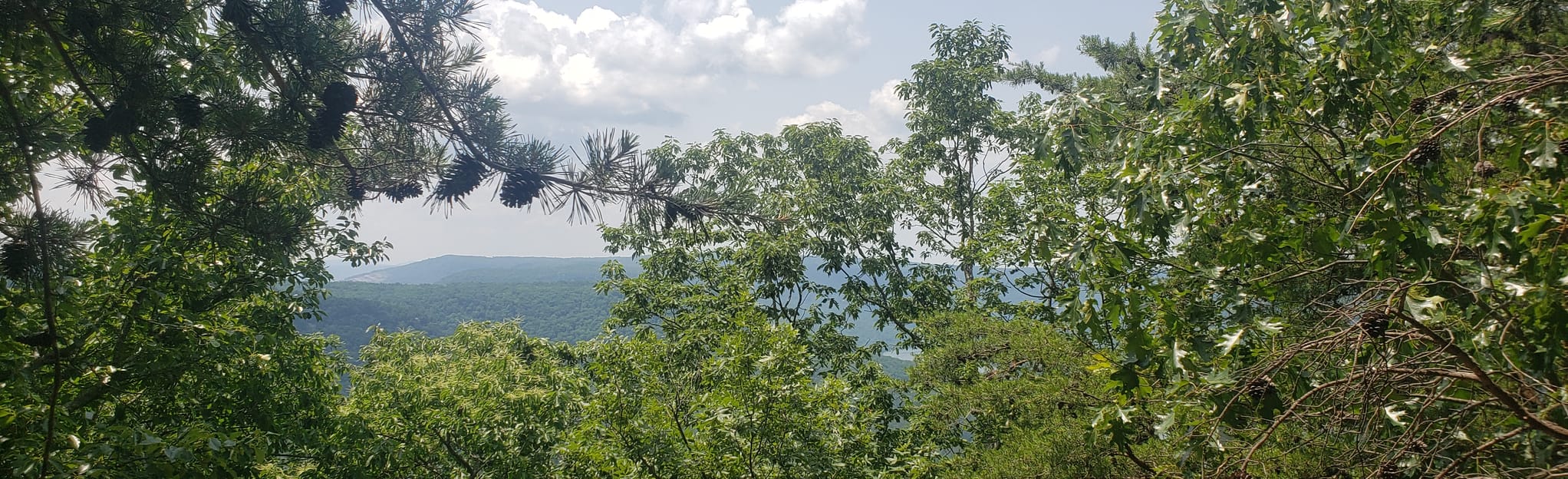 Pot Point Loop, Tennessee - 100 Reviews, Map | AllTrails