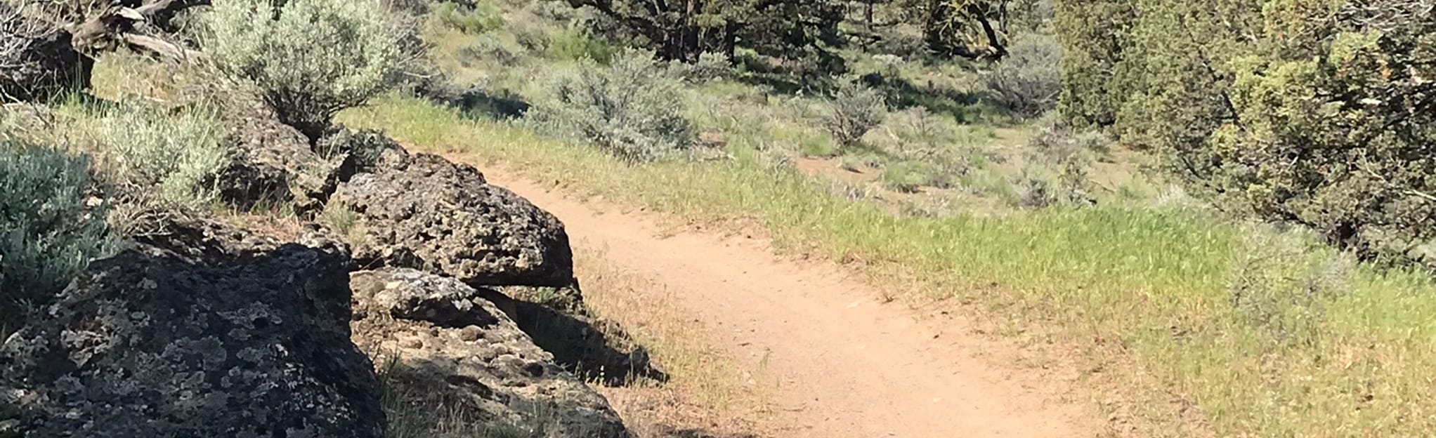 Oregon Sunshine, Lost Dream, Big Bark, Lost Dream, Talon Loop: 28 ...