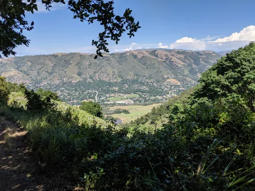 Best 10 Hikes and Trails in Garland Ranch Regional Park | AllTrails