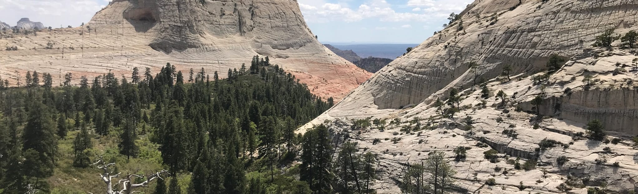 Northgate Peaks via Kolob Terrace, Utah - 1,107 Reviews, Map | AllTrails