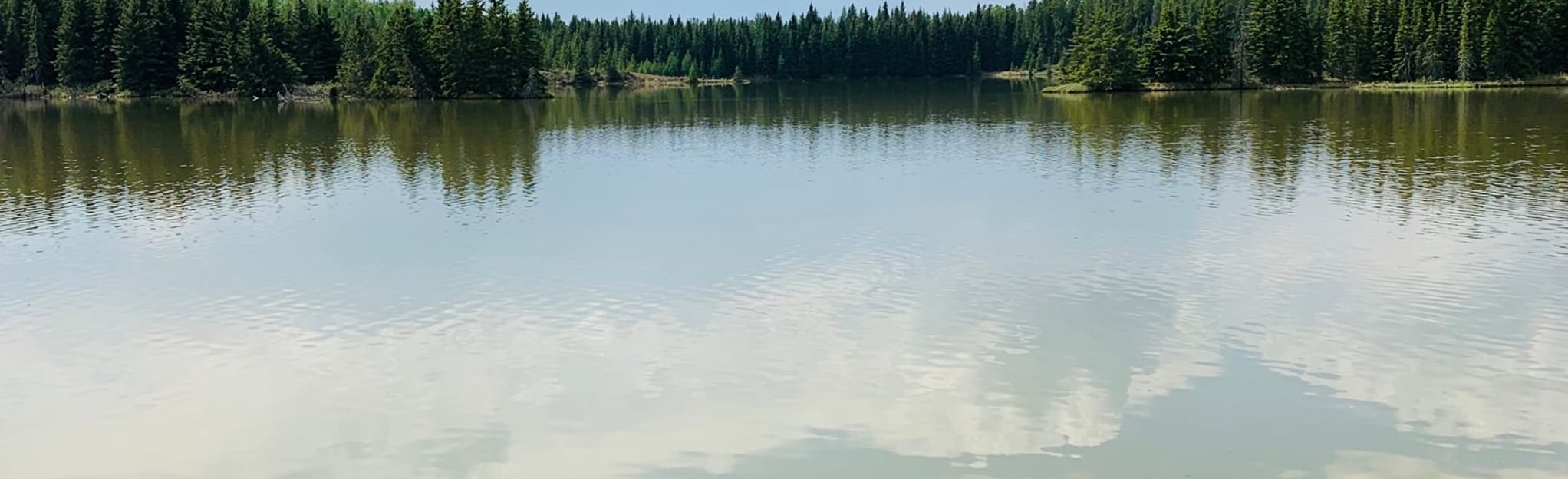 Brazeau Canal, Alberta, Canada - 7 Reviews, Map | AllTrails