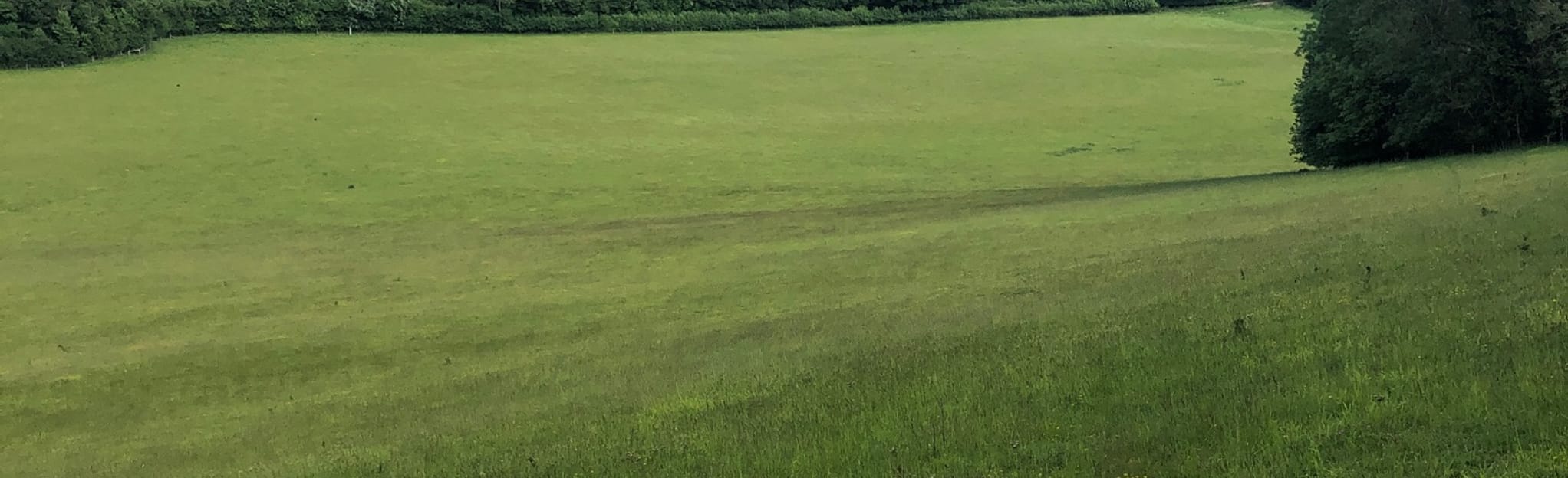 The White Hart and Shabden Park Circular: 100 fotos - Surrey ...