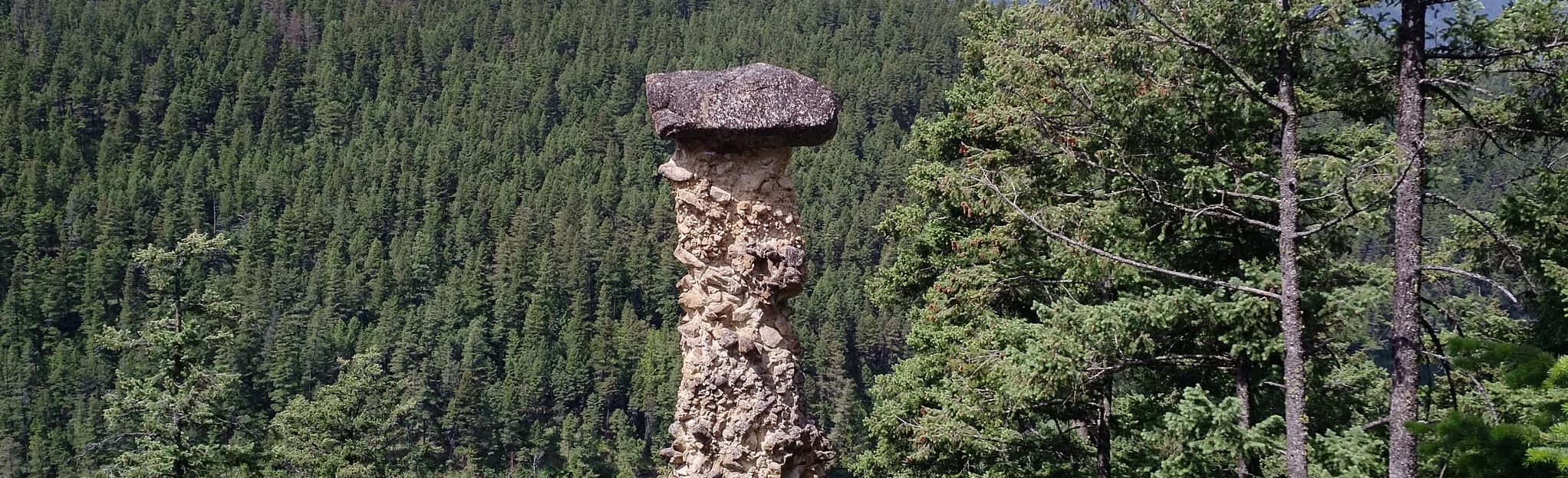 The Pillar: 26 Reviews, Map - British Columbia, Canada | AllTrails