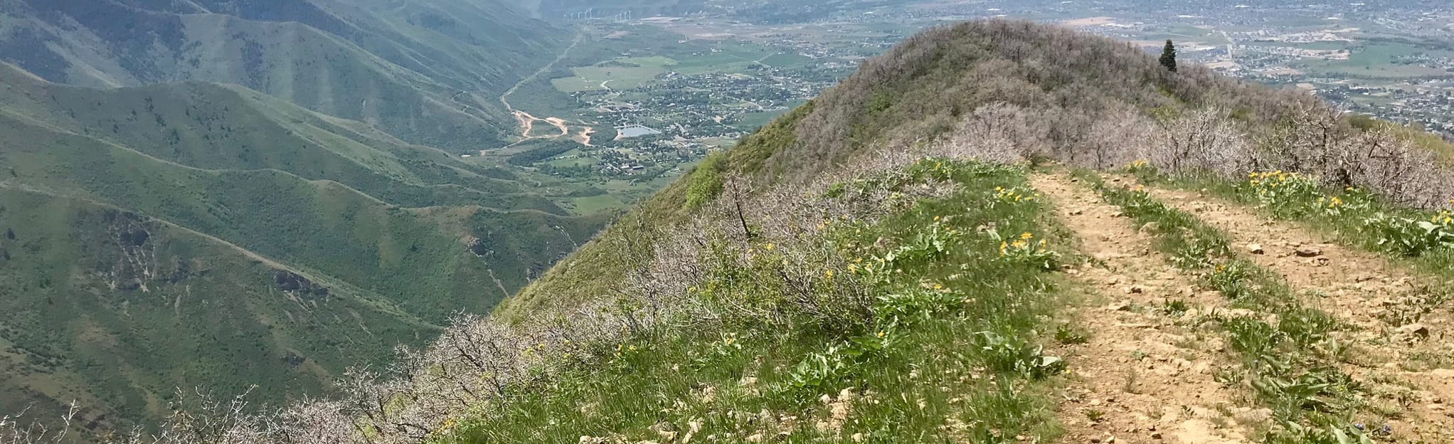 Powerhouse Overlook - Utah | AllTrails