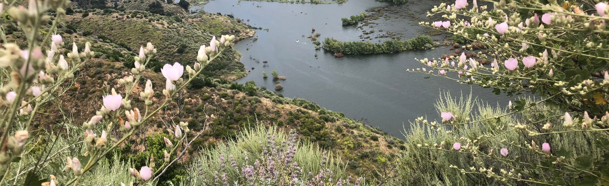 Pothole Spring, California - 25 Reviews, Map | AllTrails