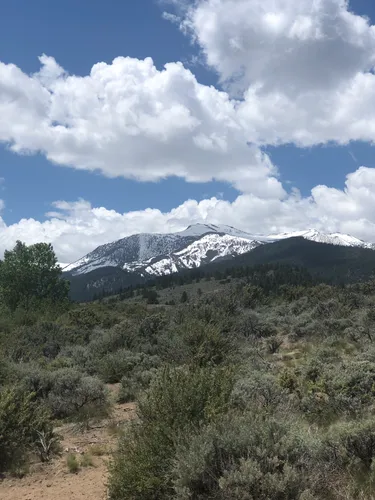 10 Best Long Trails in Humboldt-Toiyabe National Forest | AllTrails