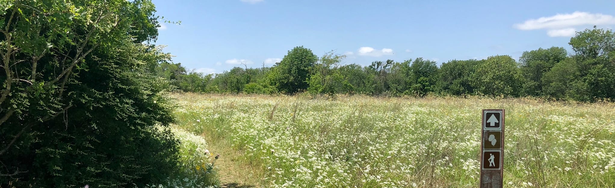 Prairie Trail, Oak Motte Trail, and Wild Plum Trail Loop: 73 Reviews ...