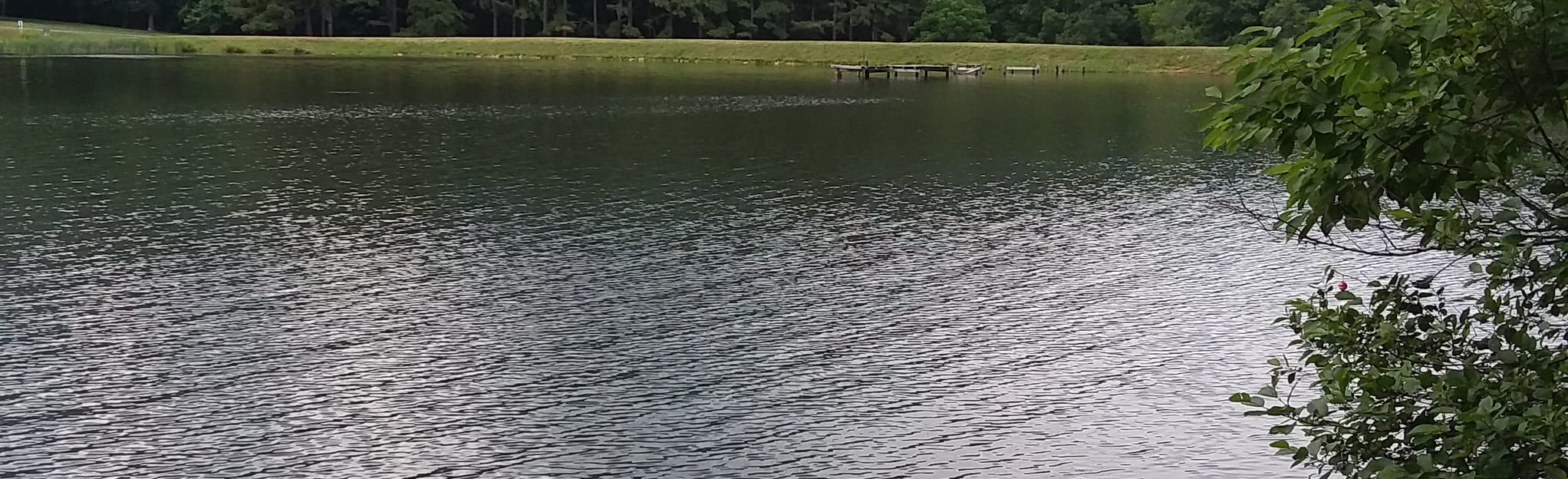 Mint Springs Upper Lake Loop, 13 Fotos - Virginia | AllTrails