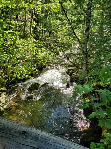 Best Waterfall Trails in Carson | AllTrails