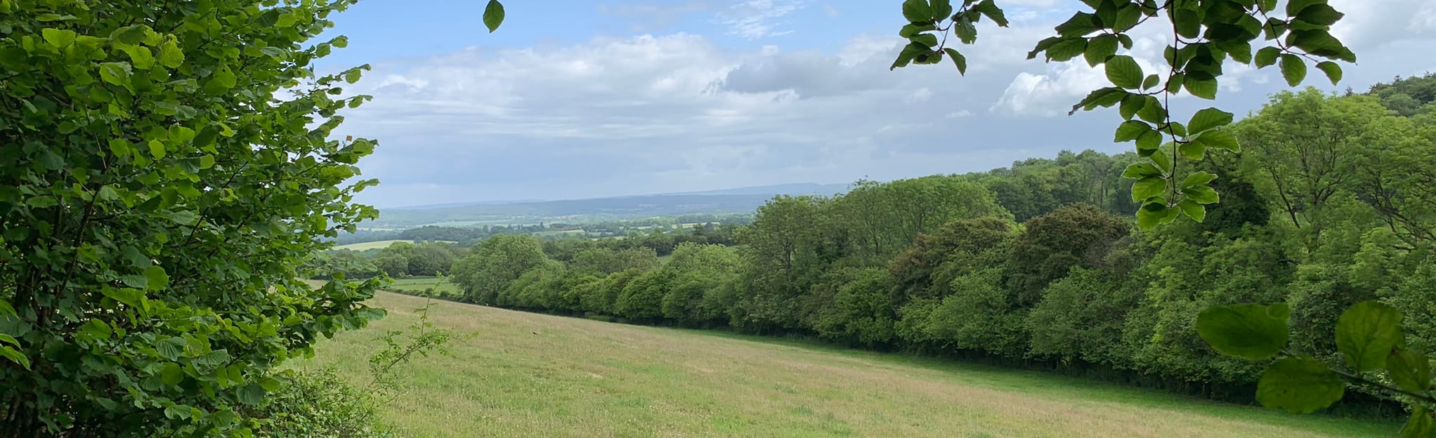 Shipwrights Way: Petersfield to Queen Elizabeth Country Park, Hampshire ...