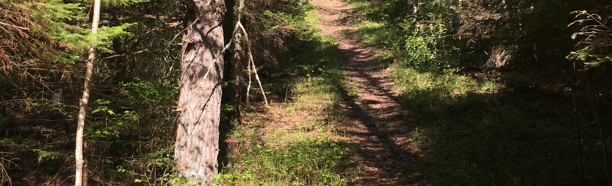 Jones Spring North Loop [CLOSED], Wisconsin - 29 Reviews, Map | AllTrails