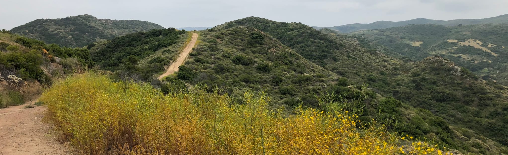 Quail Trail and Serrano Ridge Viewpoint: 496 Reviews, Map - California ...