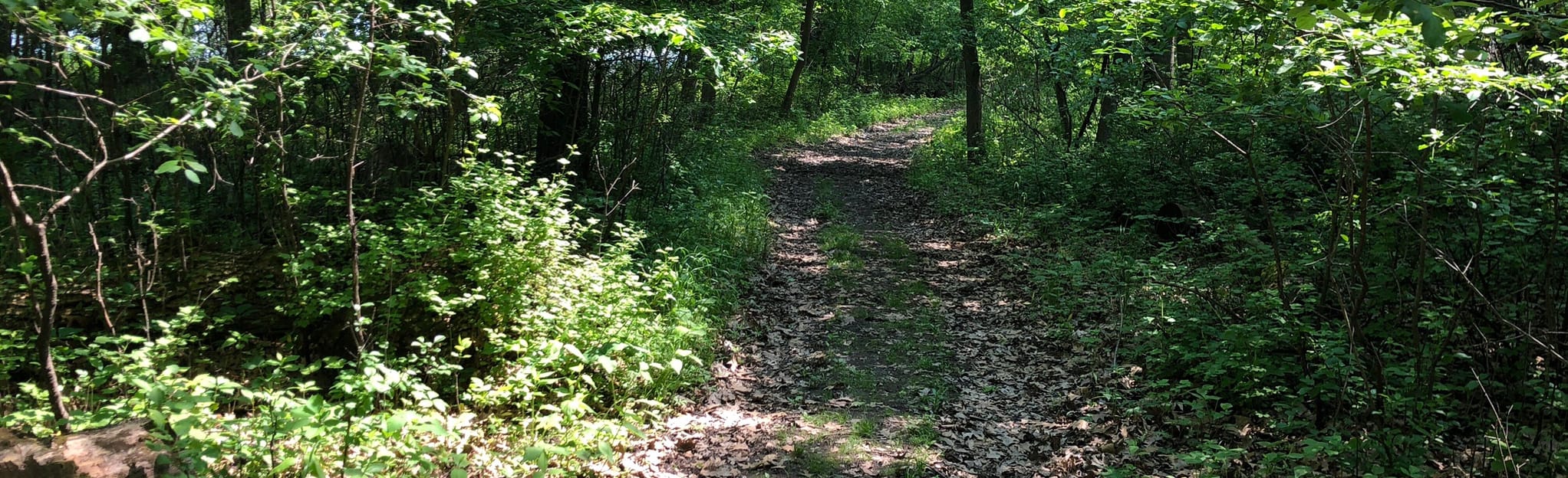 Myre Big Island State Park Loop, Minnesota - 157 Reviews, Map | AllTrails