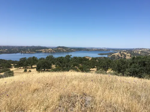 Best Hikes and Trails in Pardee Recreation Area | AllTrails