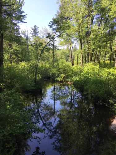 10 Best Easy Trails in Townsend | AllTrails