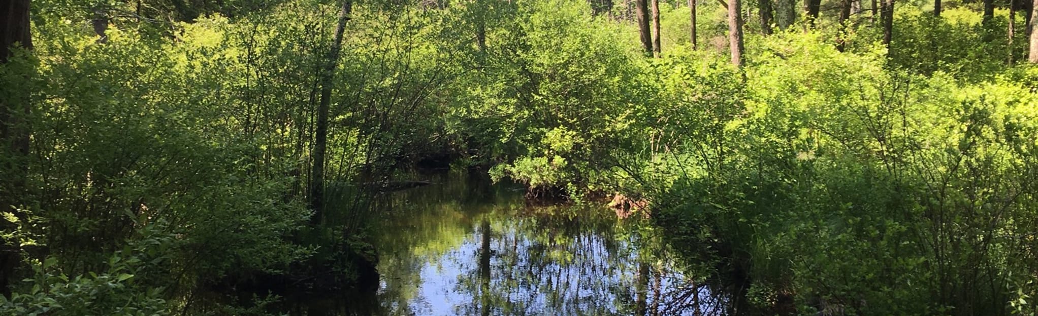 Lil Ditty, The Berm, and 7 Bridges Road Trail Loop | Map, Guide ...