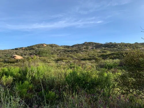 10 Best Hikes and Trails in Daley Ranch | AllTrails
