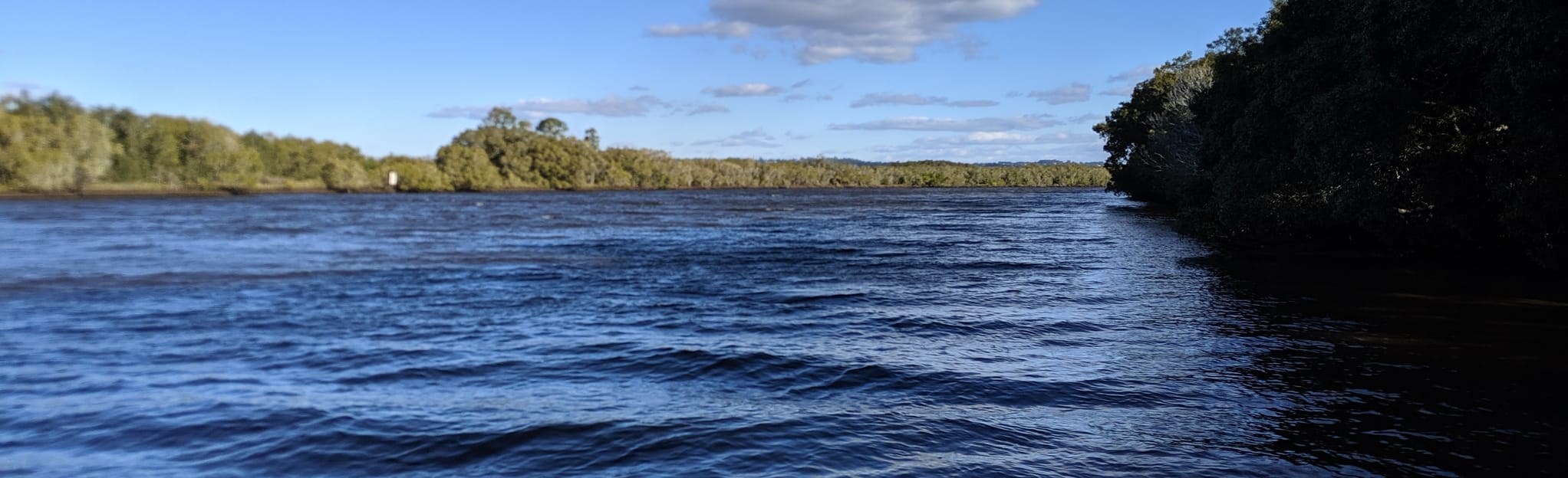 Maroochy Wetlands Sanctuary Walk - Queensland, Australia | AllTrails