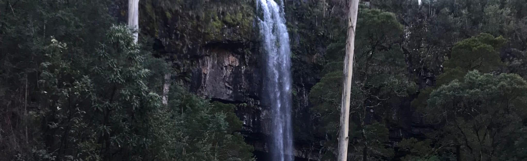 Bindaree Falls Walk, Victoria, Australia - 6 Reviews, Map | AllTrails