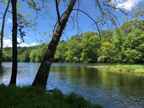 Best Hikes and Trails in Salt Rock State Park | AllTrails
