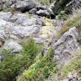 Ragged Point Trail, California - 103 Reviews, Map | AllTrails
