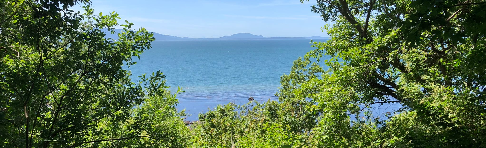 Point Whitehorn Trail : 221 Reviews, Map - Washington | AllTrails