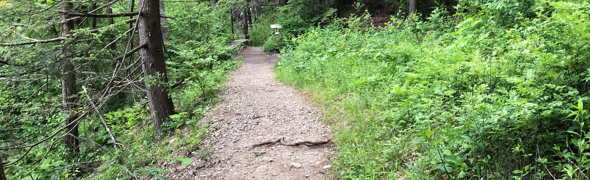 AllTrails | Mill River Trail to Puffer’s Pond Loop: 298 Reviews, Map ...