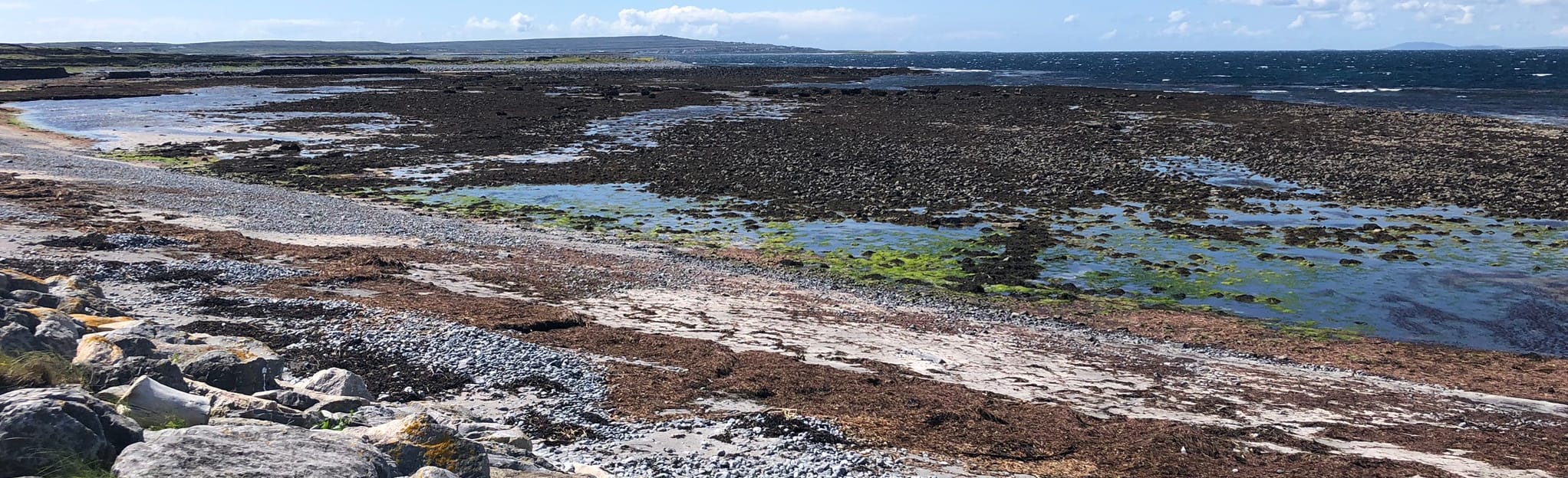 Inis Meáin - Lúb Cill Cheannannach, County Galway, Ireland - 4 Reviews ...