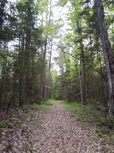 Best Hikes and Trails in Deep River | AllTrails