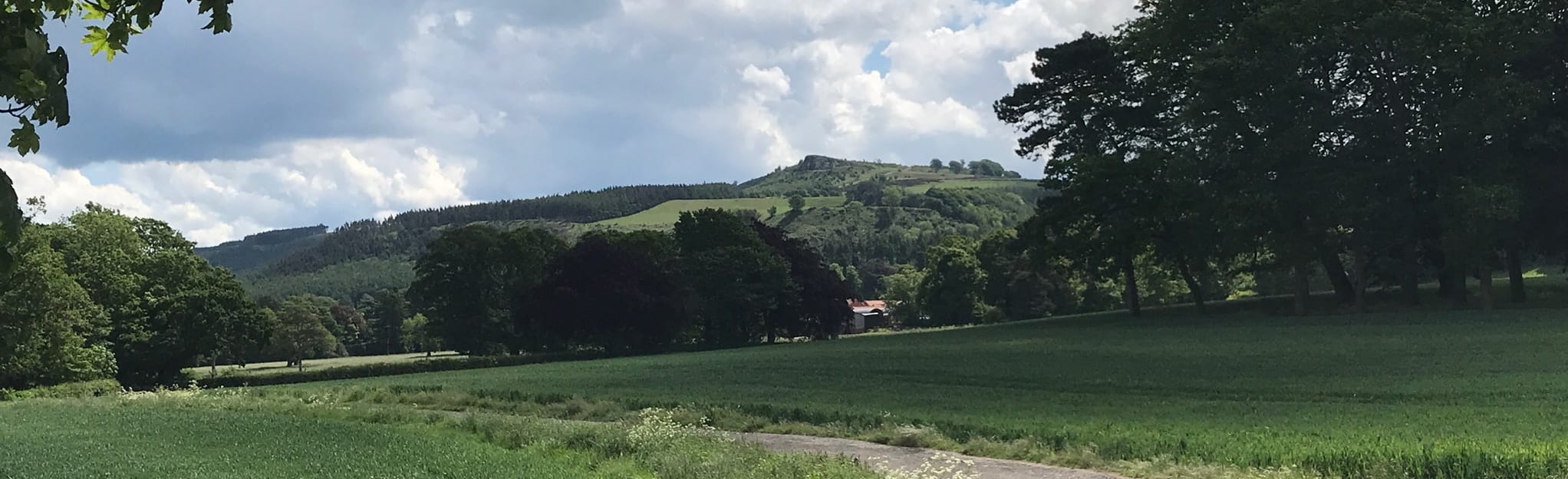 Guisborough Forest Red Route, North Yorkshire, England - 18 Reviews ...