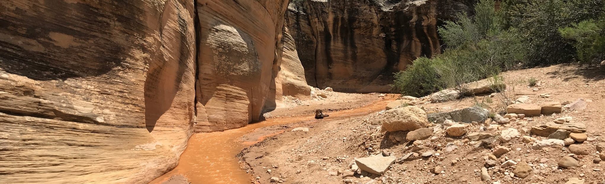 Willis Creek Short Trail, Utah - 697 Reviews, Map | AllTrails