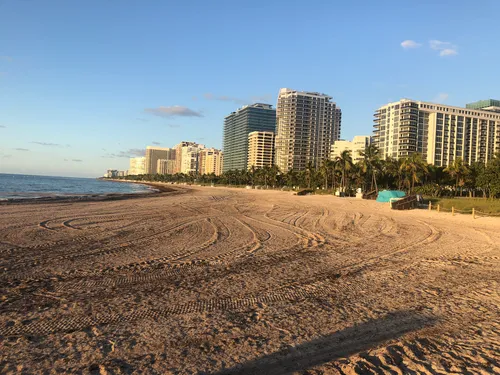 2023 Best Trail Running Trails in Miami Beach | AllTrails