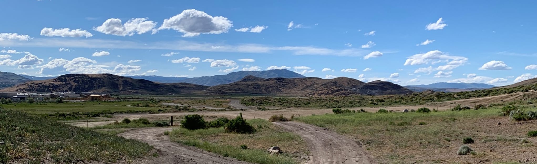 Kimon Damonte Wild Mustang Horse Trail: 12 Reviews, Map - Nevada ...