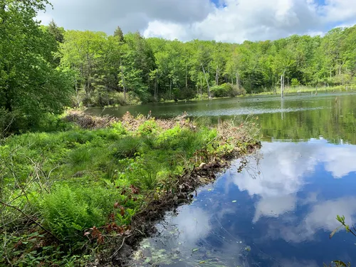 Best Hikes and Trails in Bob's Way Reserve | AllTrails