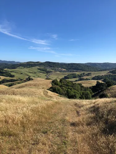 Best Hikes and Trails in Fernandez Ranch | AllTrails