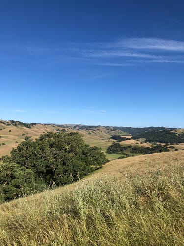 Best Hikes and Trails in Fernandez Ranch | AllTrails