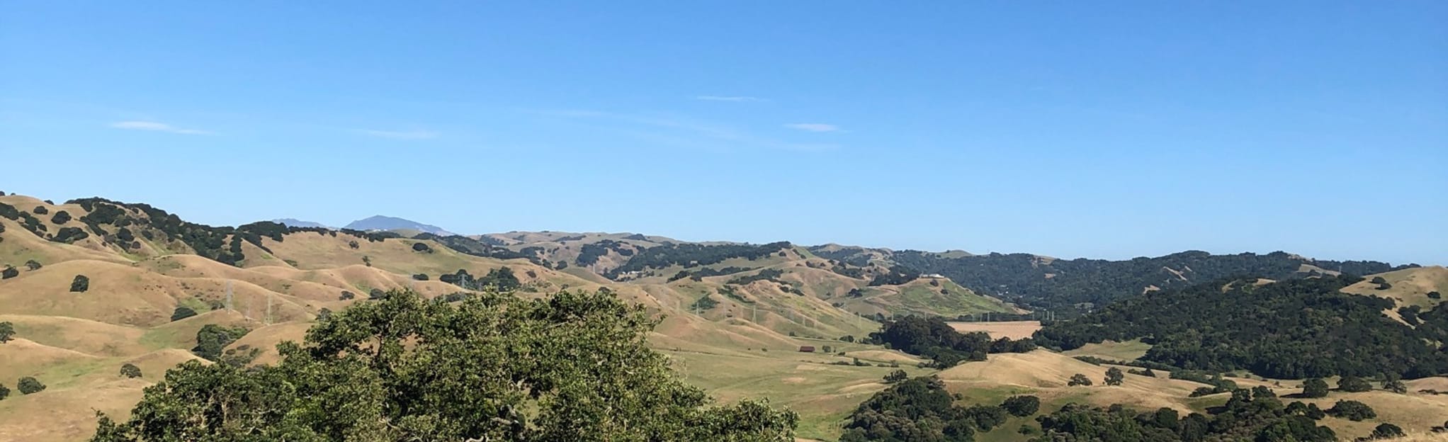 Bay Area Ridge Trail: Fernandez Ranch, California - 35 Reviews, Map ...