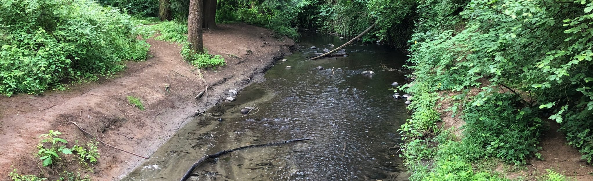 Leverich Park Loop - Washington | AllTrails