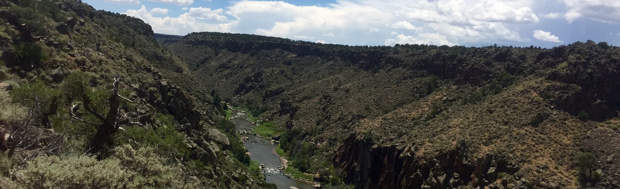 Chiflo Trail to the Rio Grande: 39 Reviews, Map - New Mexico | AllTrails