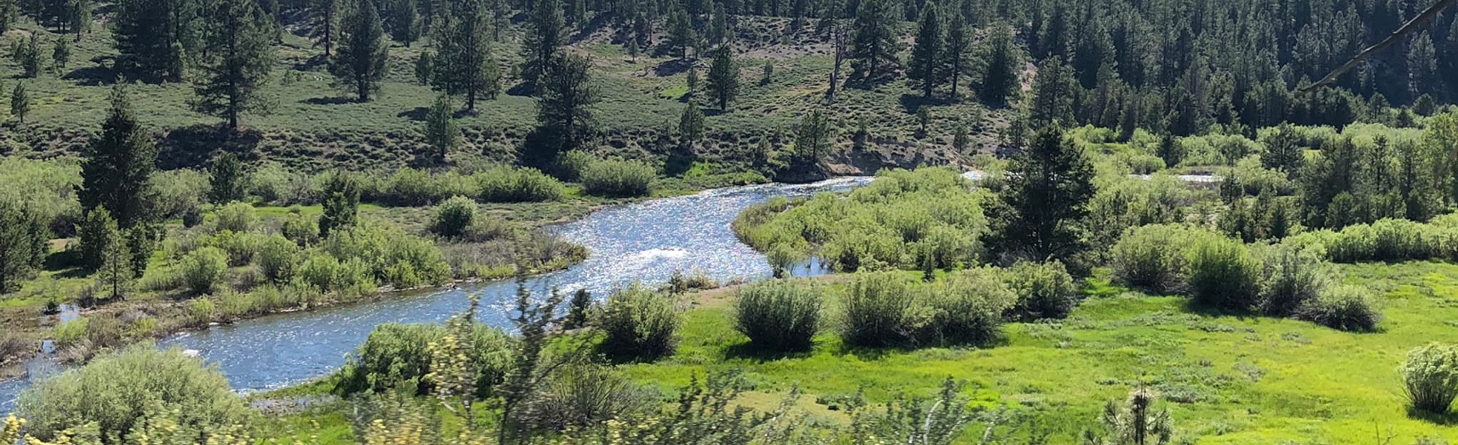 Dog Valley to Stampede Reservoir OHV Trail - California | AllTrails