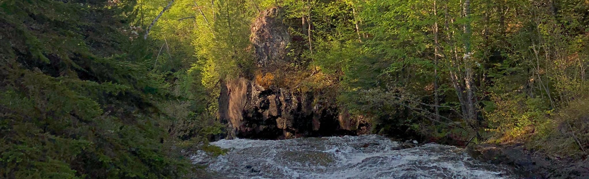 Onion River Trail , Minnesota - 191 Reviews, Map | AllTrails
