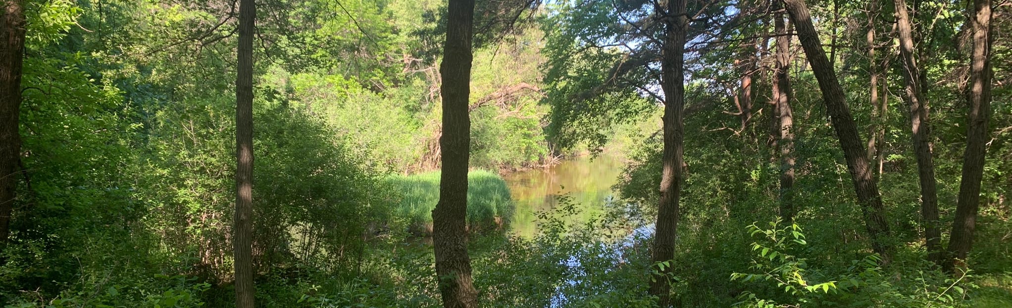 Staring Lake Loop, Minnesota - 794 Reviews, Map | AllTrails