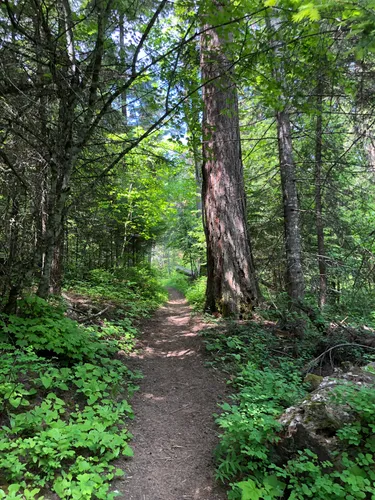 Best Lake Trails in Heyburn State Park | AllTrails