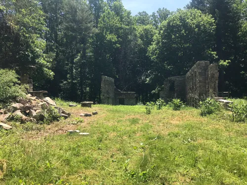 Best Hikes and Trails in Leon Levy Preserve | AllTrails